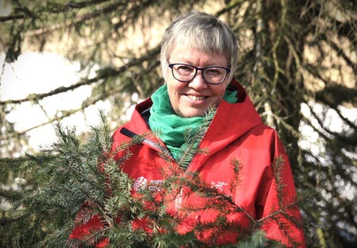 Trenger å bli enda mer bevisst på hvor utrolig viktig skogene er for oss